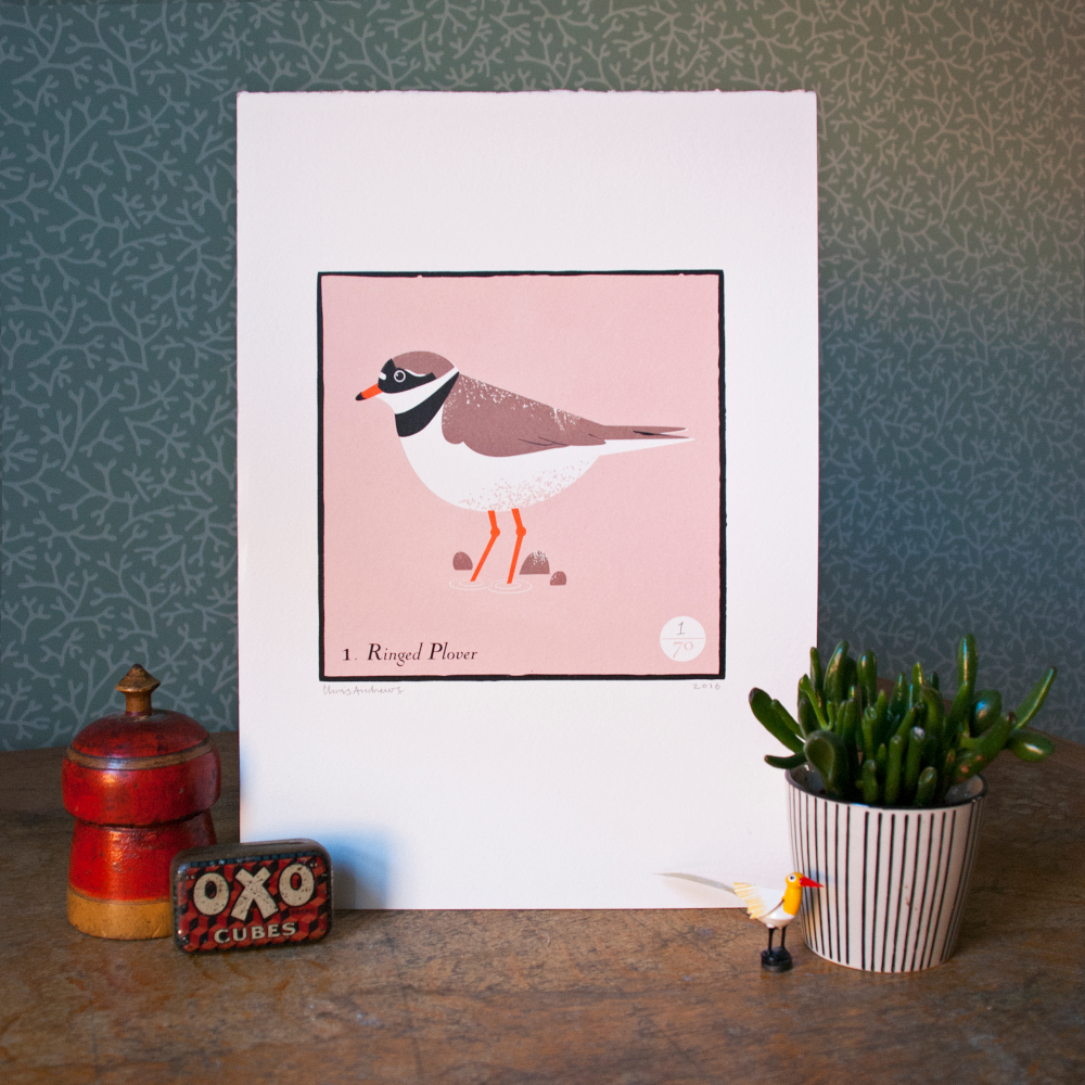Ringed Plover Screen Print - Colour & Space