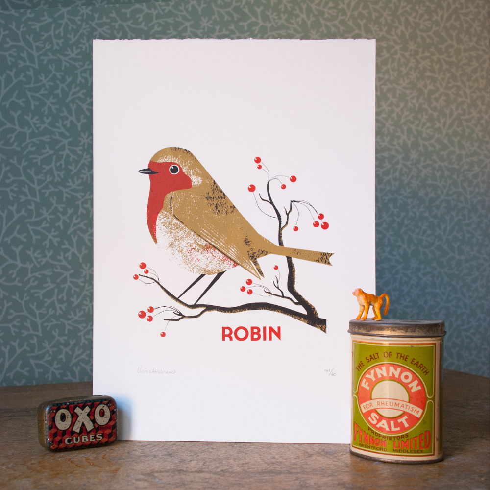 Robin Screen Print - Colour & Space