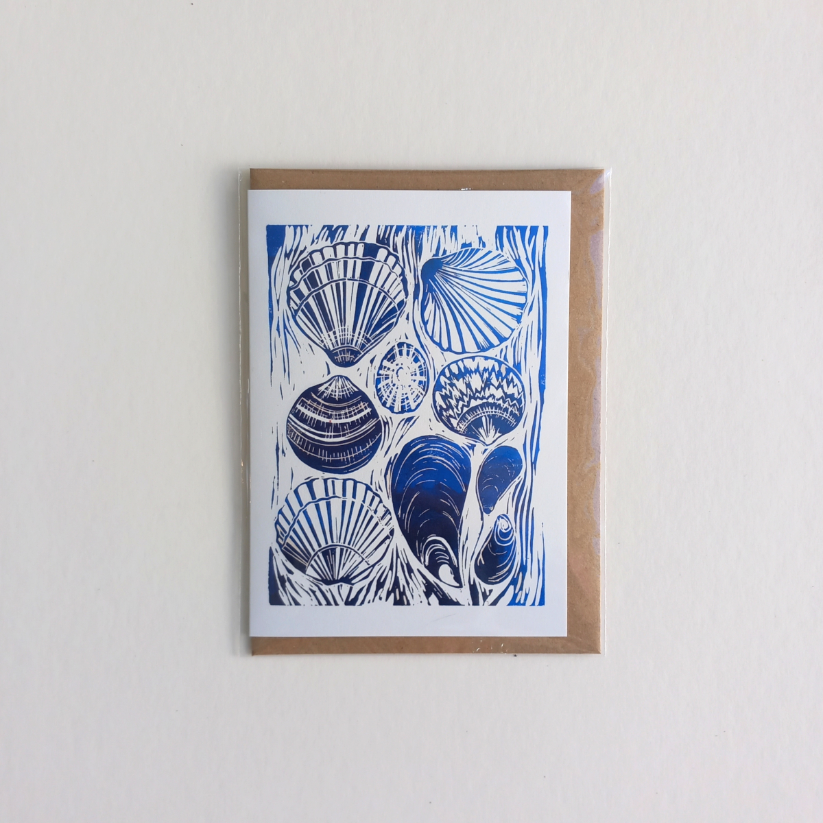 Shells Greeting Card - Colour & Space